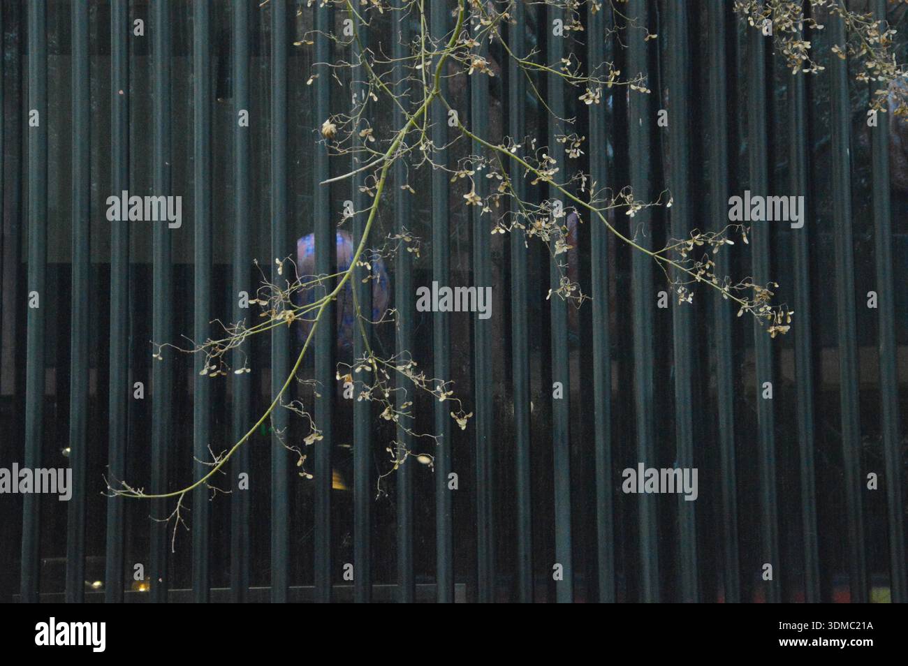 The EKA Tianwu block is decorated with festive installations for the ...