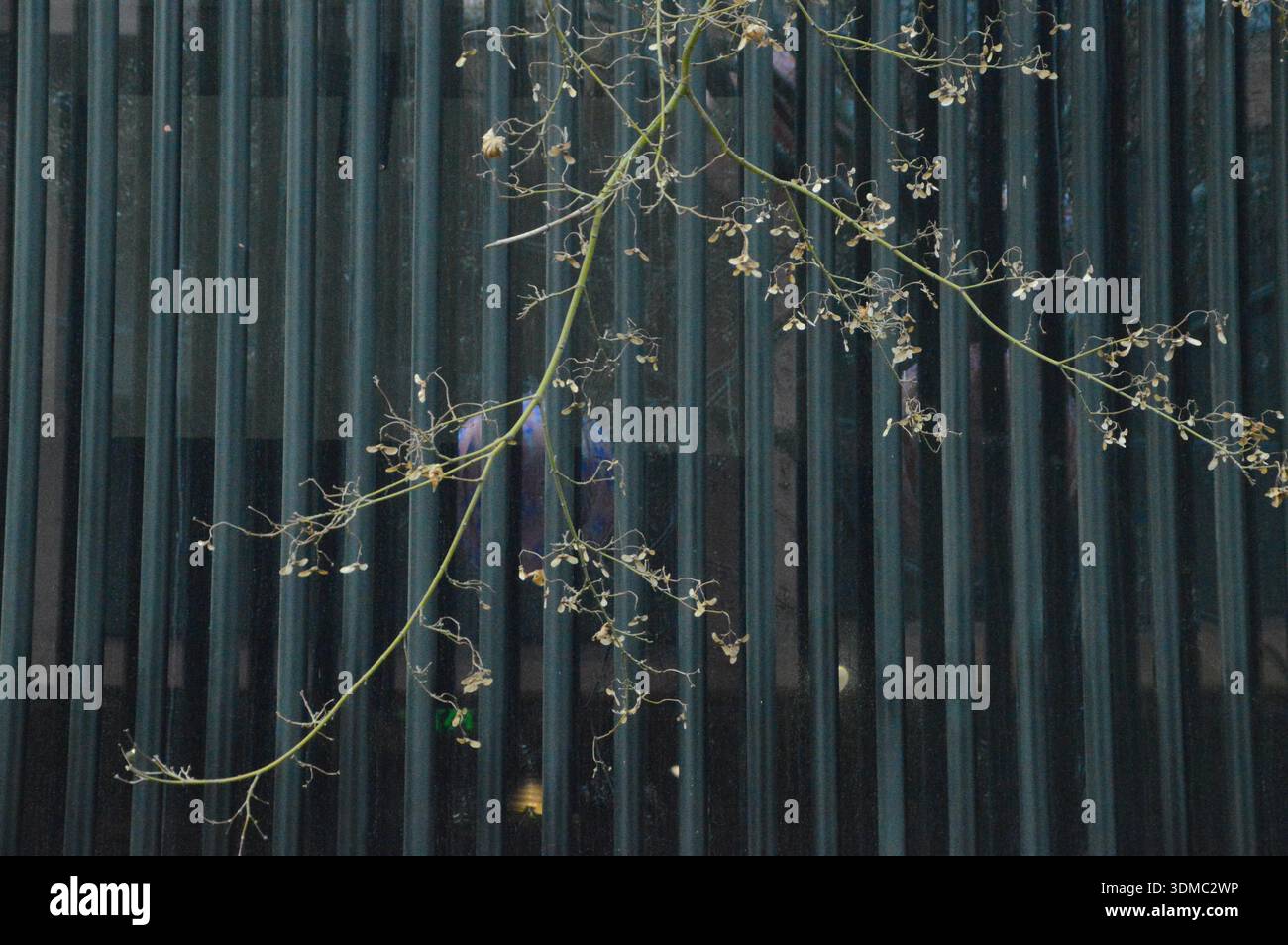 The EKA Tianwu block is decorated with festive installations for the ...