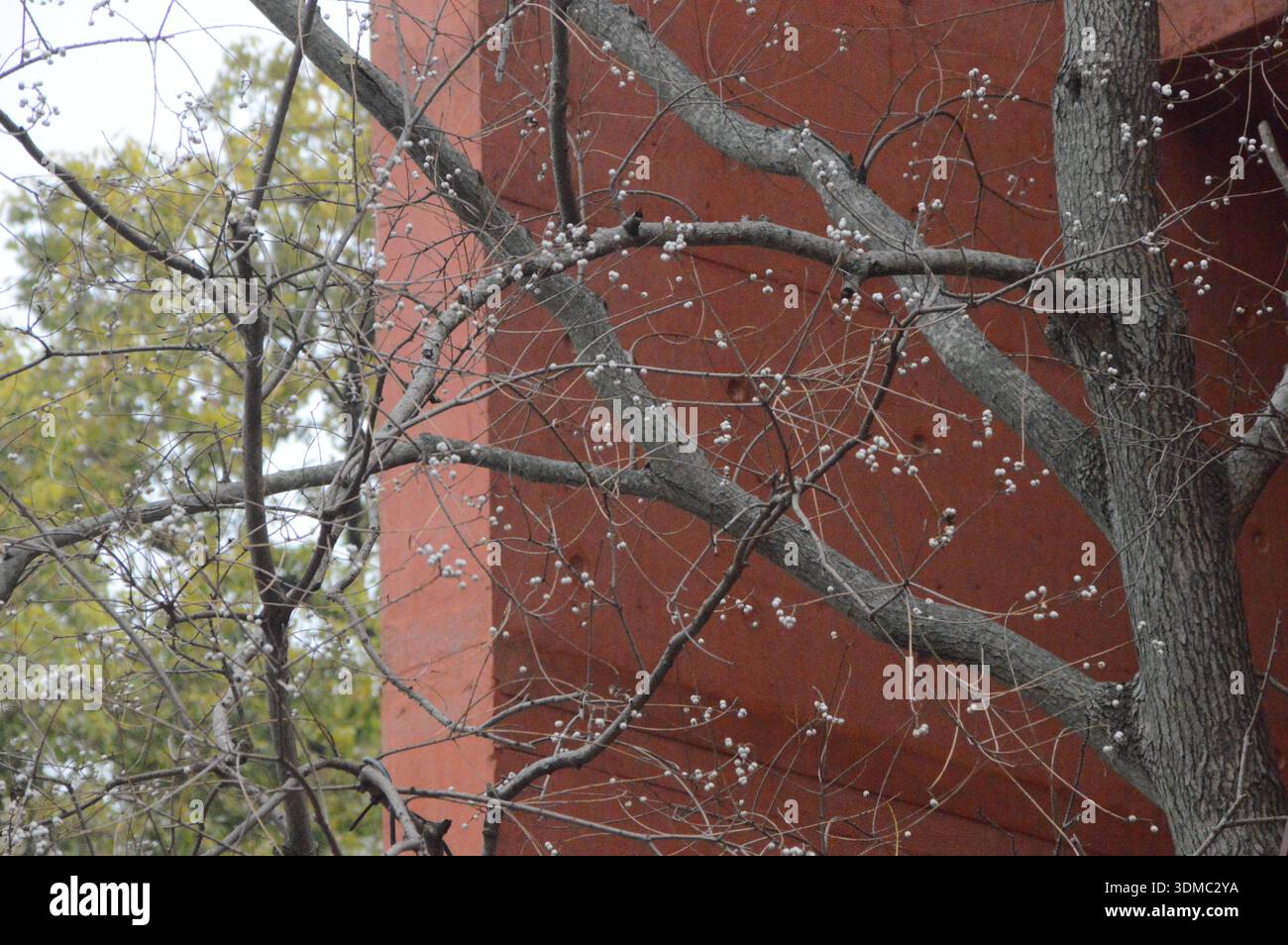 The EKA Tianwu block is decorated with festive installations for the ...