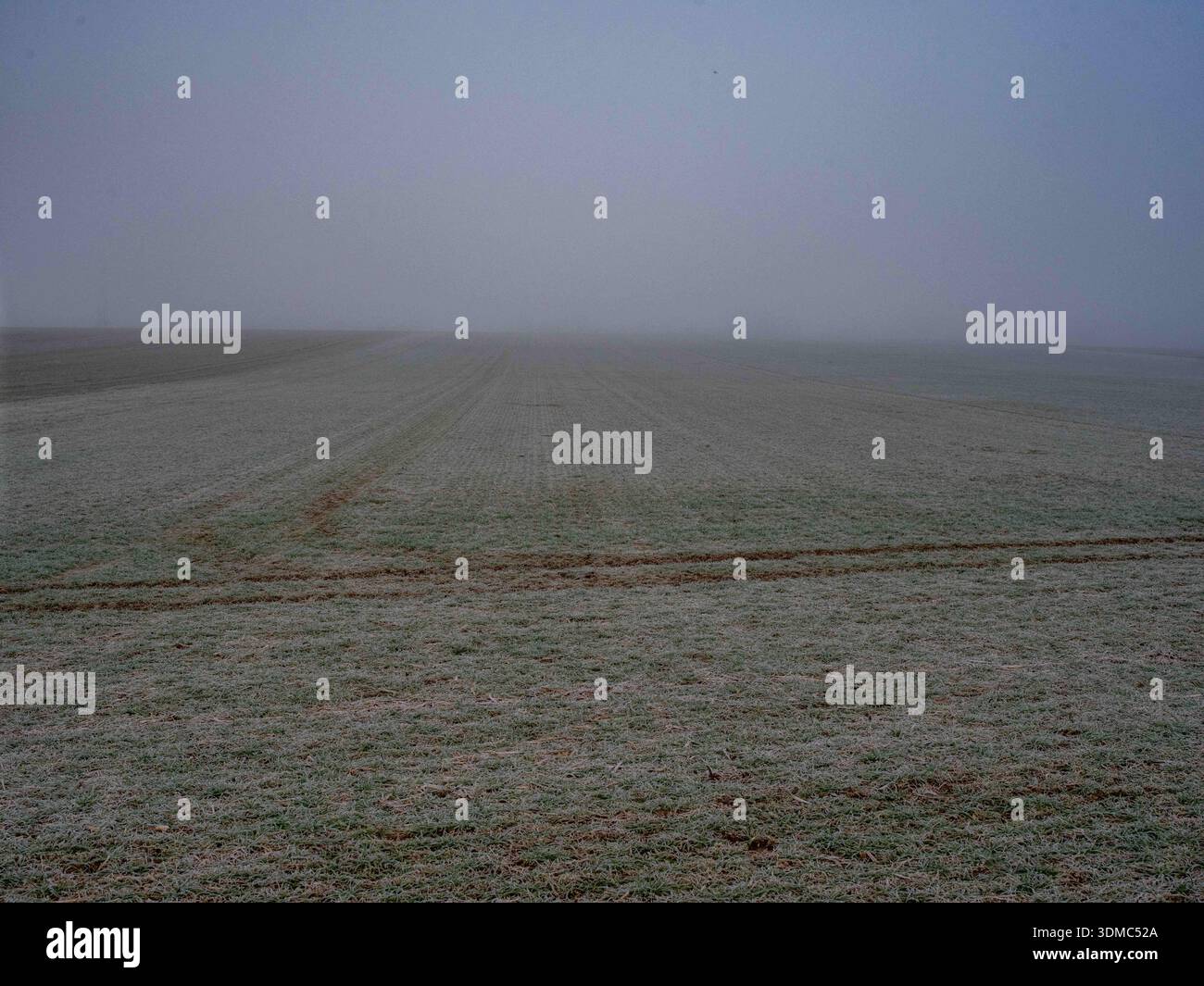 Farming under frost. Franqueville, France, January 29, 2026. Photo by ...