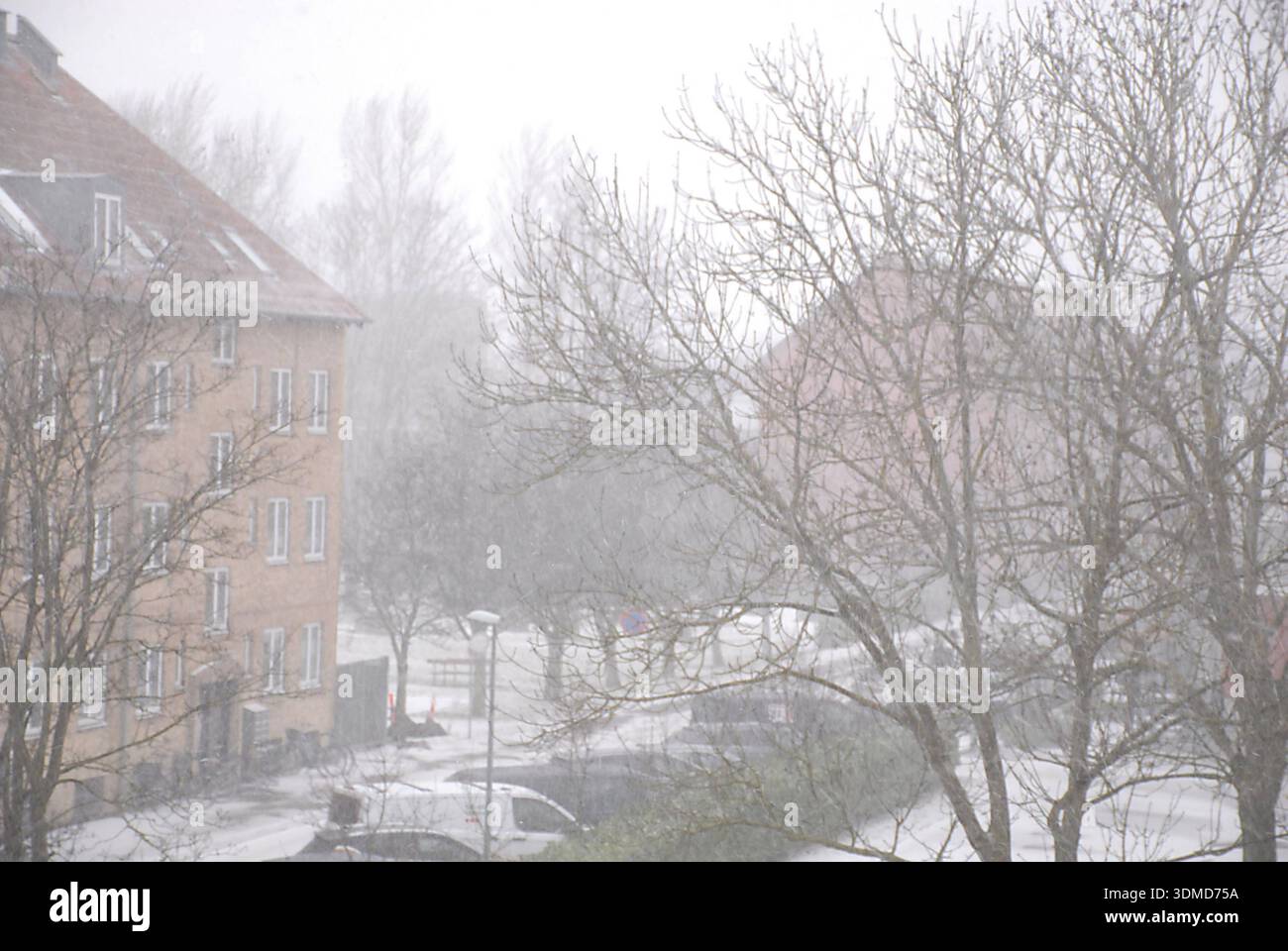 Copenhagen/Denmark /05 FEB 2026 /Snow fall weather in kastrup Photo ...