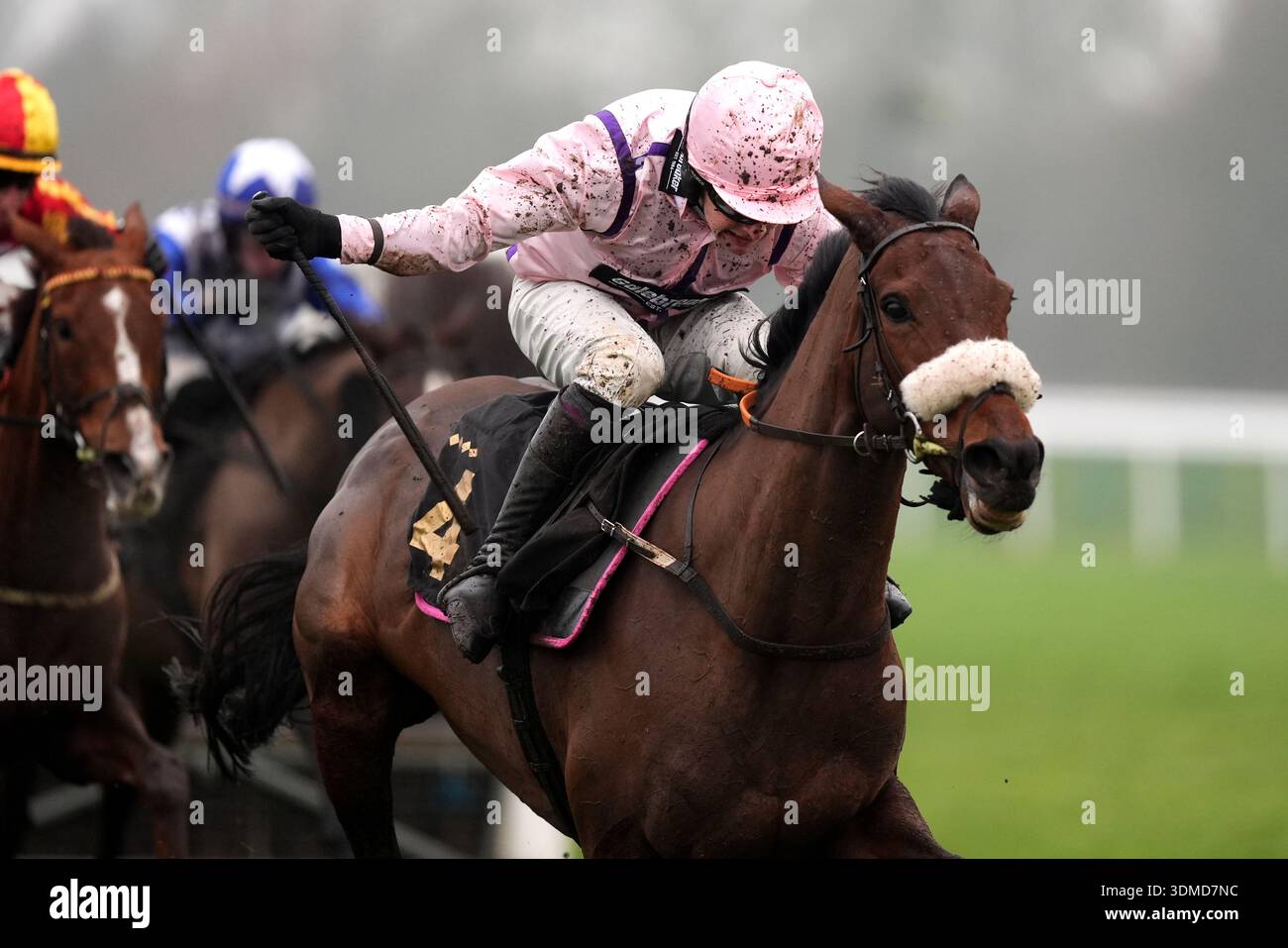 Piper Park ridden by Stan Sheppard in the Gin and Dubonnet Lady ...