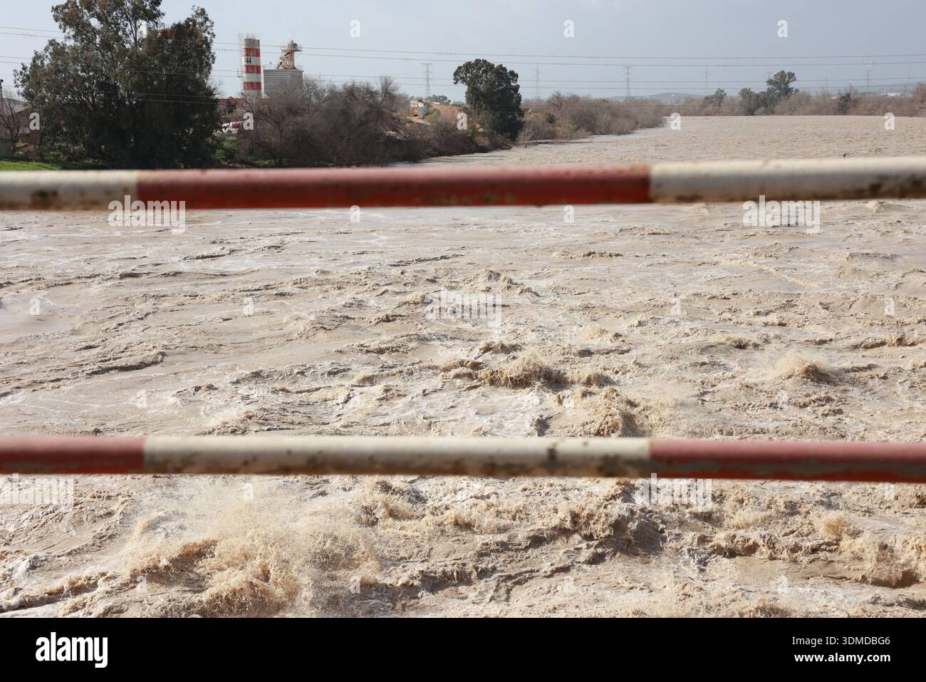 Flooding of the Guadalquivir River as it passes through the Sevillian ...