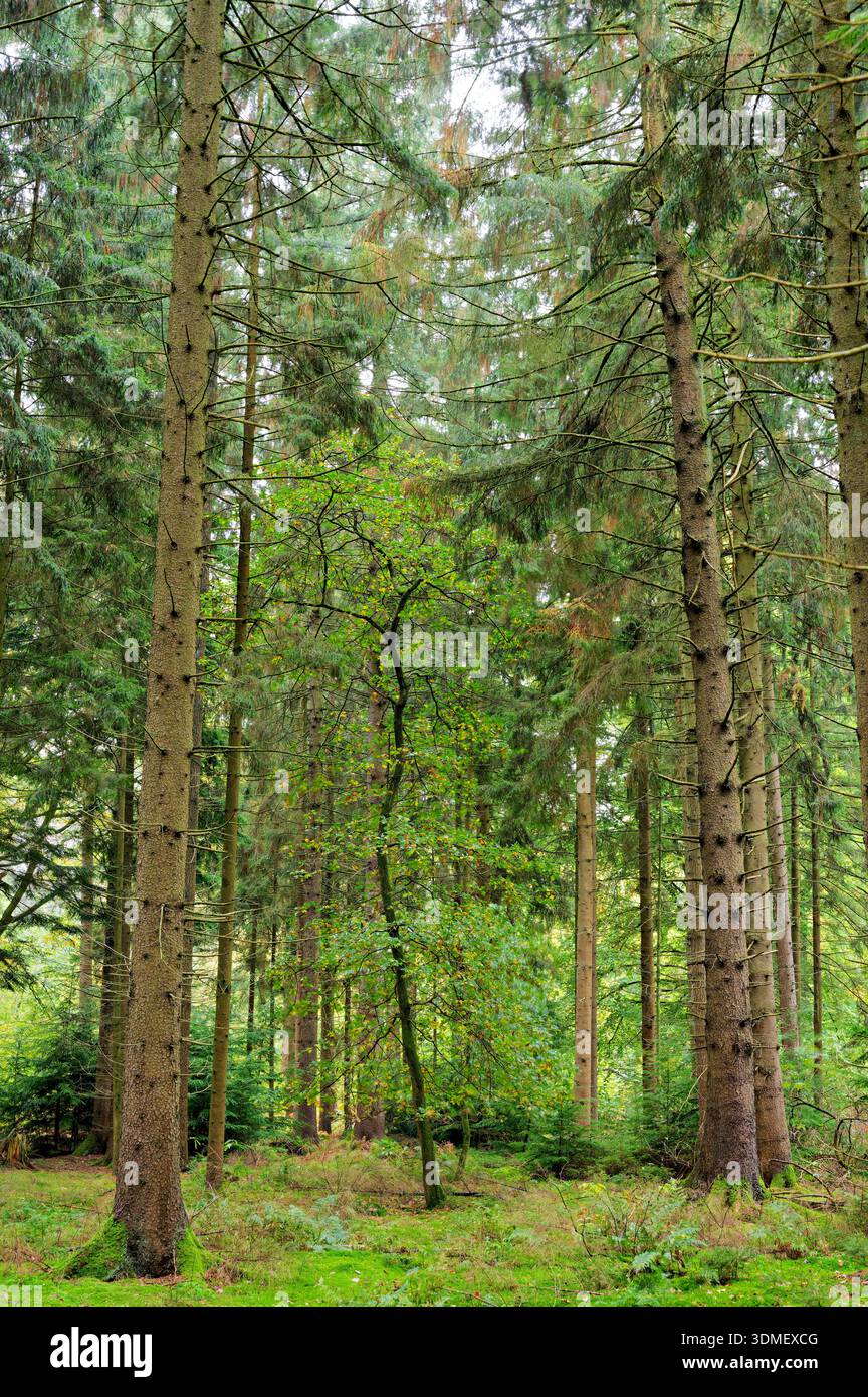 Solitary structures hi-res stock photography and images - Alamy