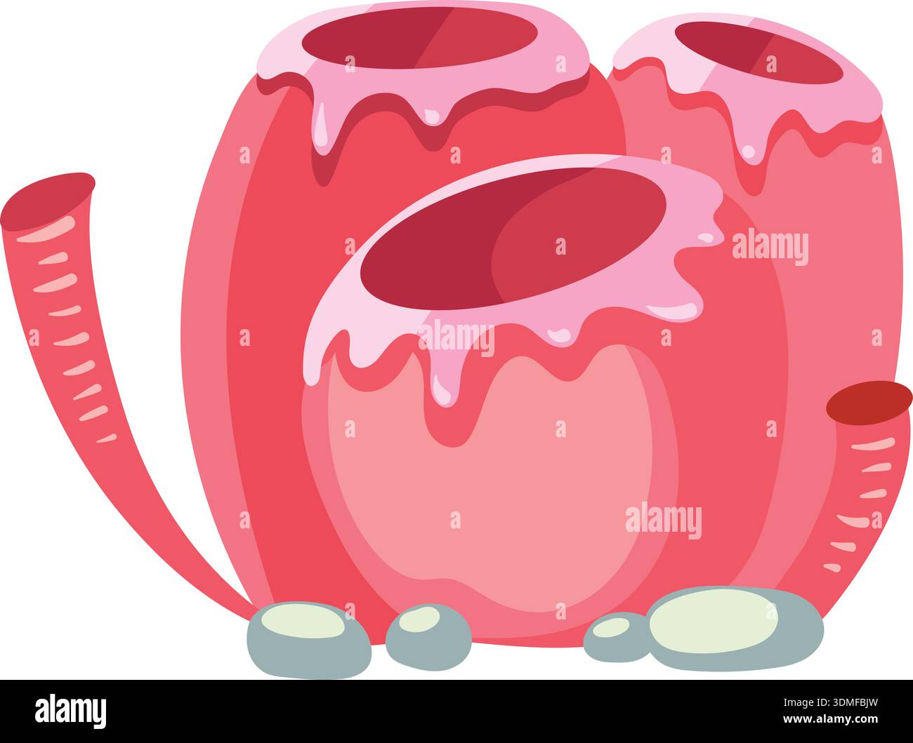 Red sea underwater marine life Stock Vector Images - Alamy