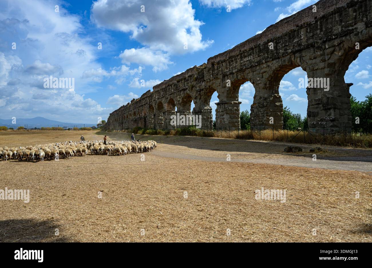 Flock of sheep walking across dry ground near ancient Roman aqueduct ...