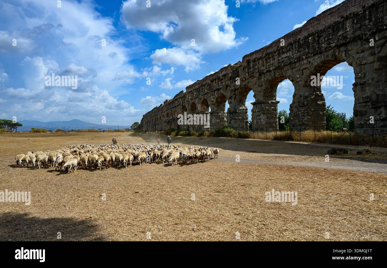 Sheep move through open terrain beneath historic Roman aqueduct ...