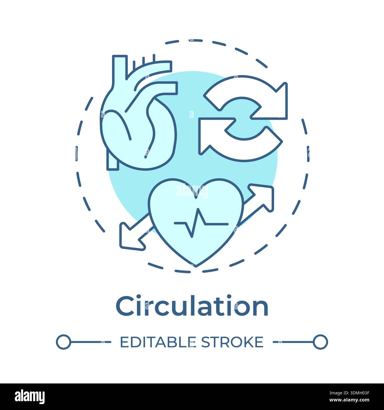 Cardiovascular health conceptual illustration Stock Vector Images - Alamy