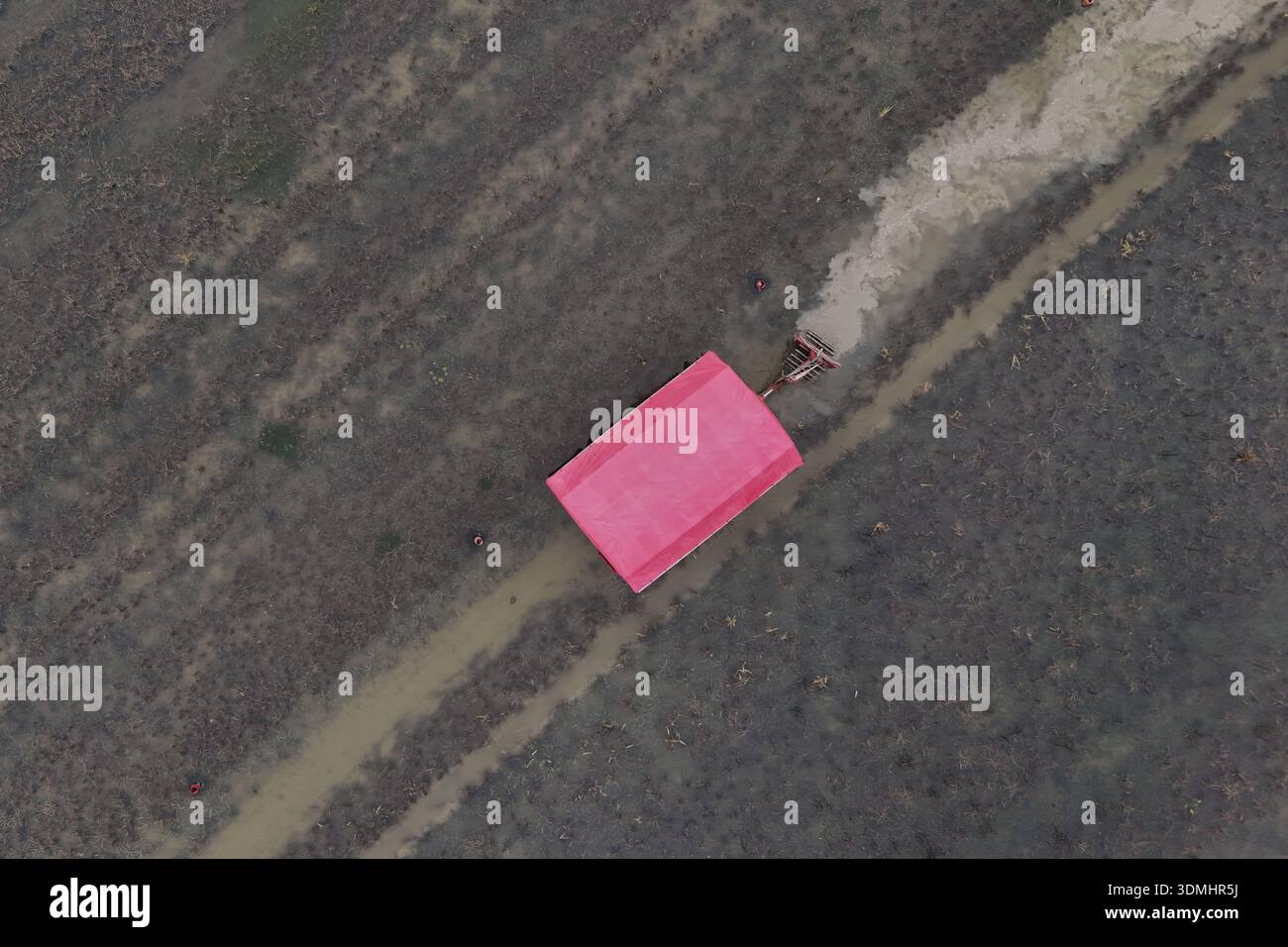 A crawfish boat moves through a pond while harvesting Thursday, Jan. 22 ...