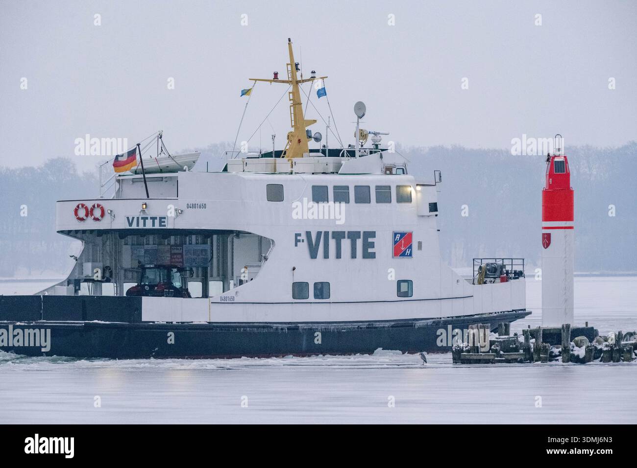 06 February 2026, Mecklenburg-Western Pomerania, Stralsund: The ...