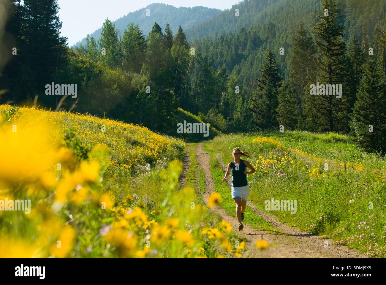 A young woman trail running through wildflowers in Cache Creek near ...