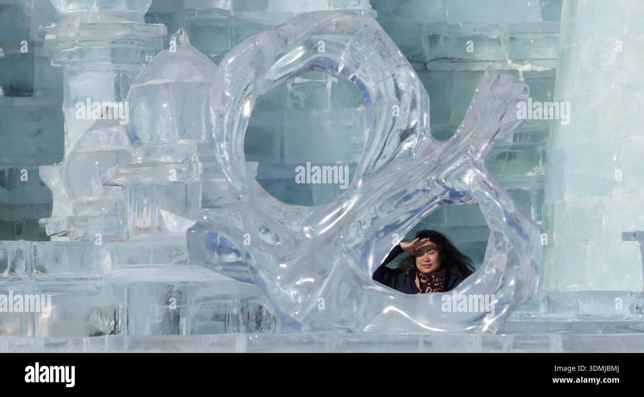 Visitors enjoy the 27th Harbin Ice and Snow World despite the cold ...