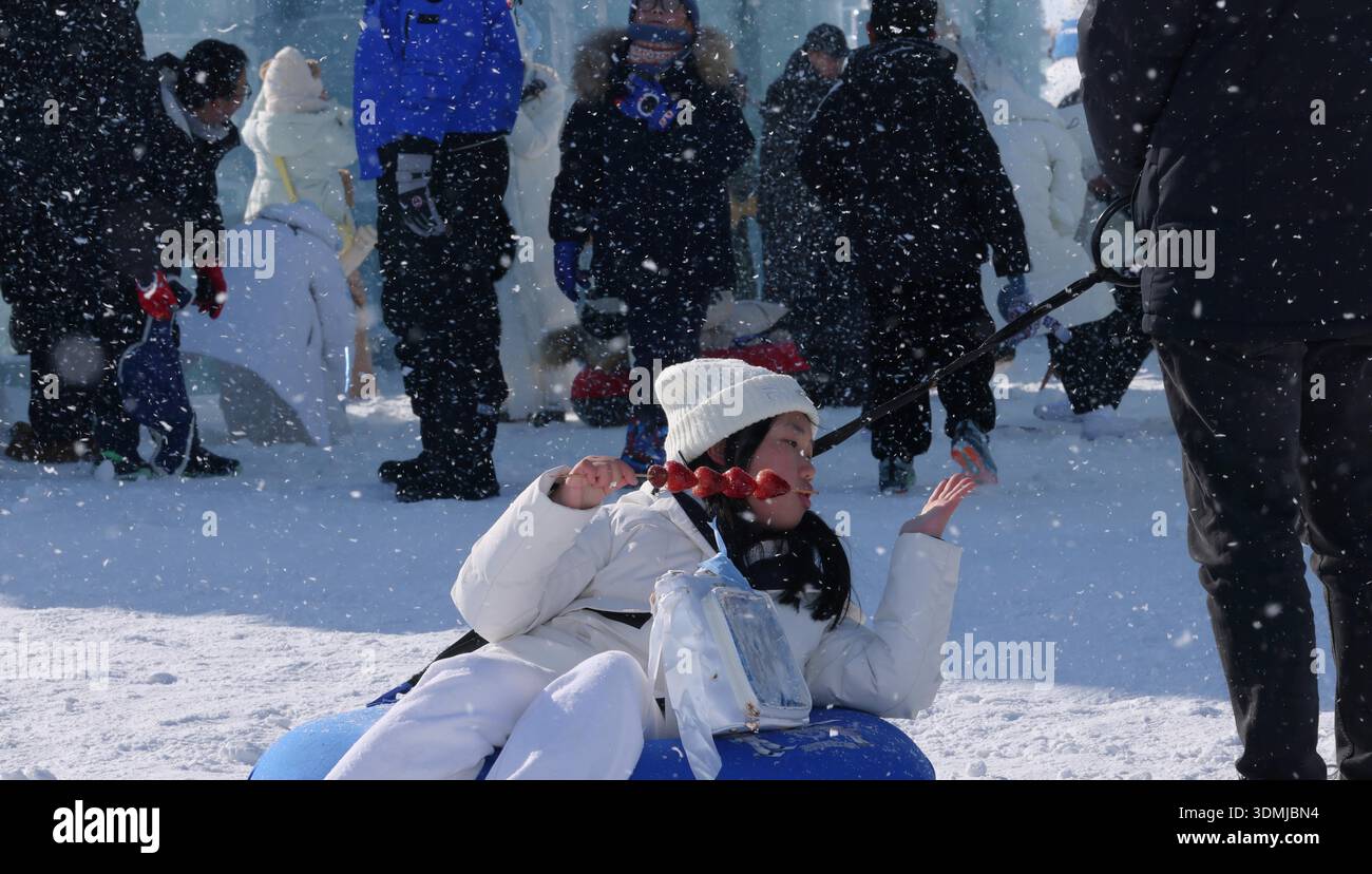 Visitors enjoy the 27th Harbin Ice and Snow World despite the cold ...