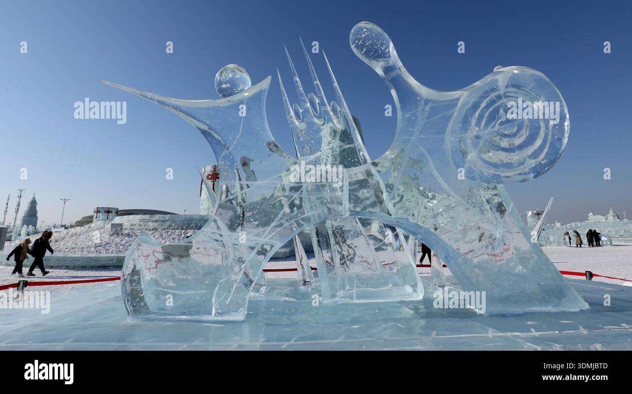 Visitors enjoy the 27th Harbin Ice and Snow World despite the cold ...