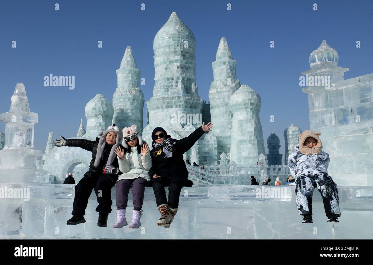 Visitors enjoy the 27th Harbin Ice and Snow World despite the cold ...