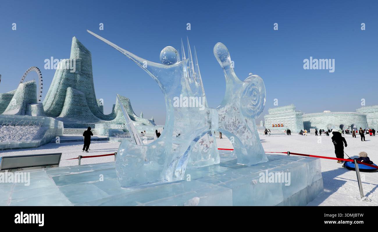 Visitors enjoy the 27th Harbin Ice and Snow World despite the cold ...