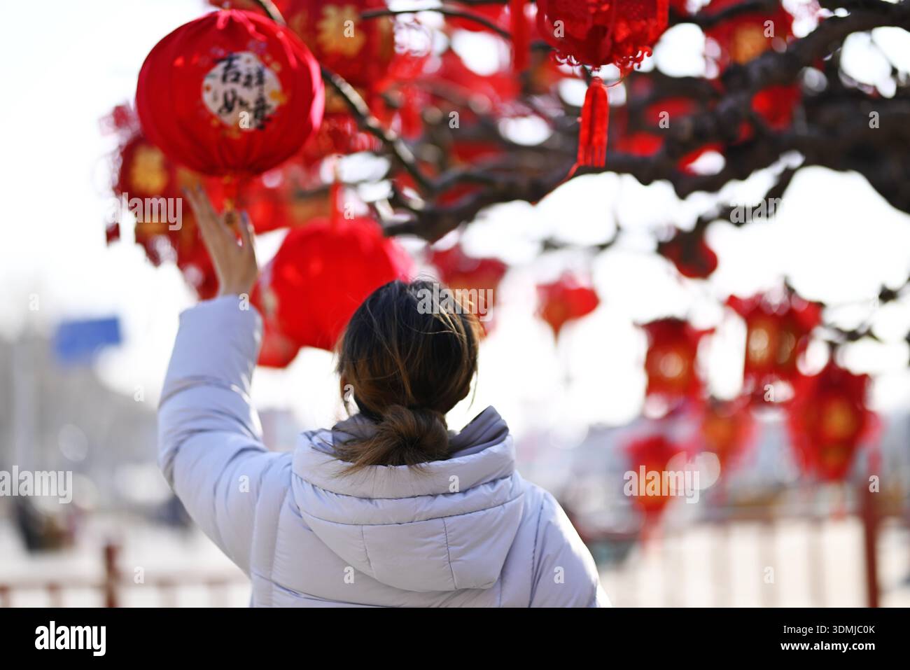 Visitors tour Ditan Park in Beijing, China, 4 February, 2026. (Photo by ...