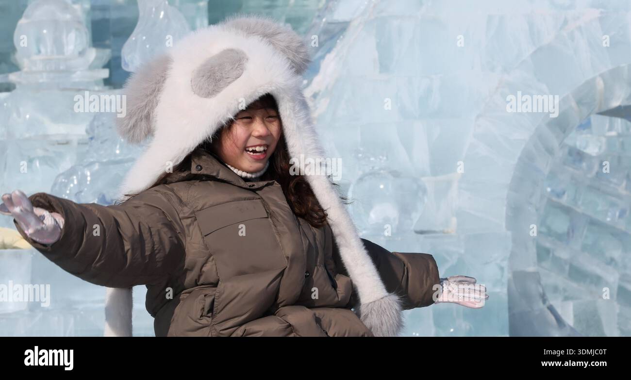 Visitors enjoy the 27th Harbin Ice and Snow World despite the cold ...