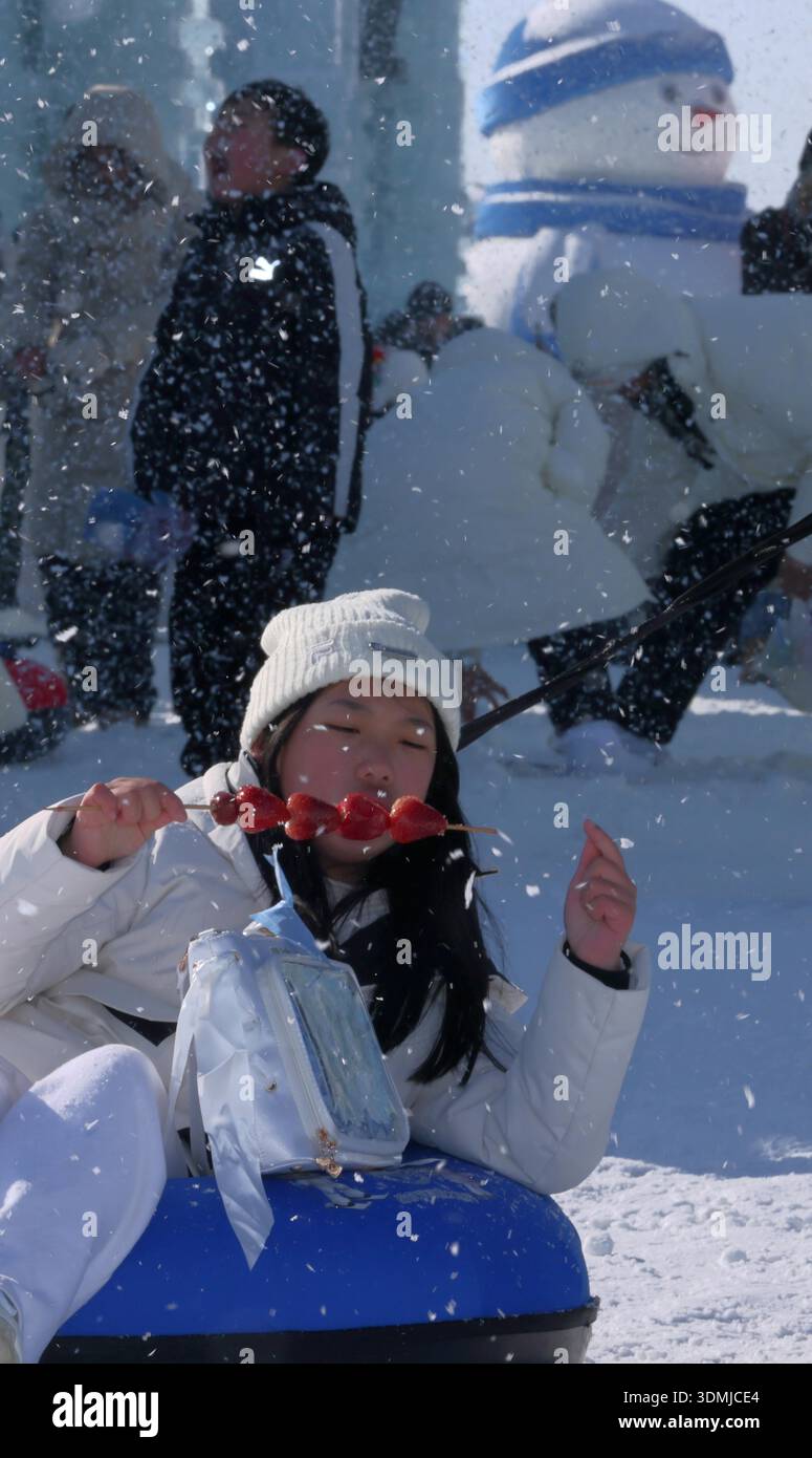 Visitors enjoy the 27th Harbin Ice and Snow World despite the cold ...