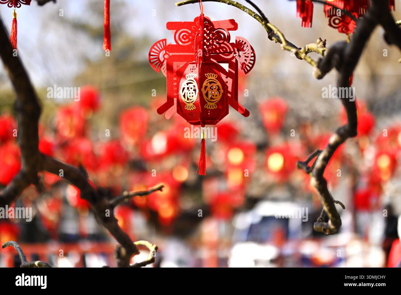 Visitors tour Ditan Park in Beijing, China, 4 February, 2026. (Photo by ...