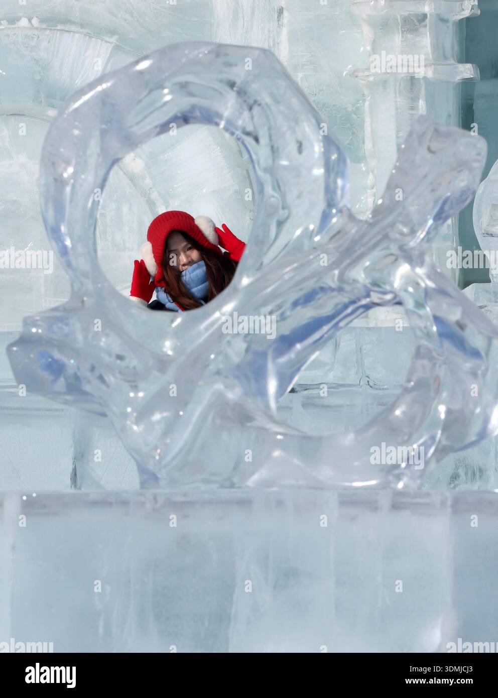 Visitors enjoy the 27th Harbin Ice and Snow World despite the cold ...