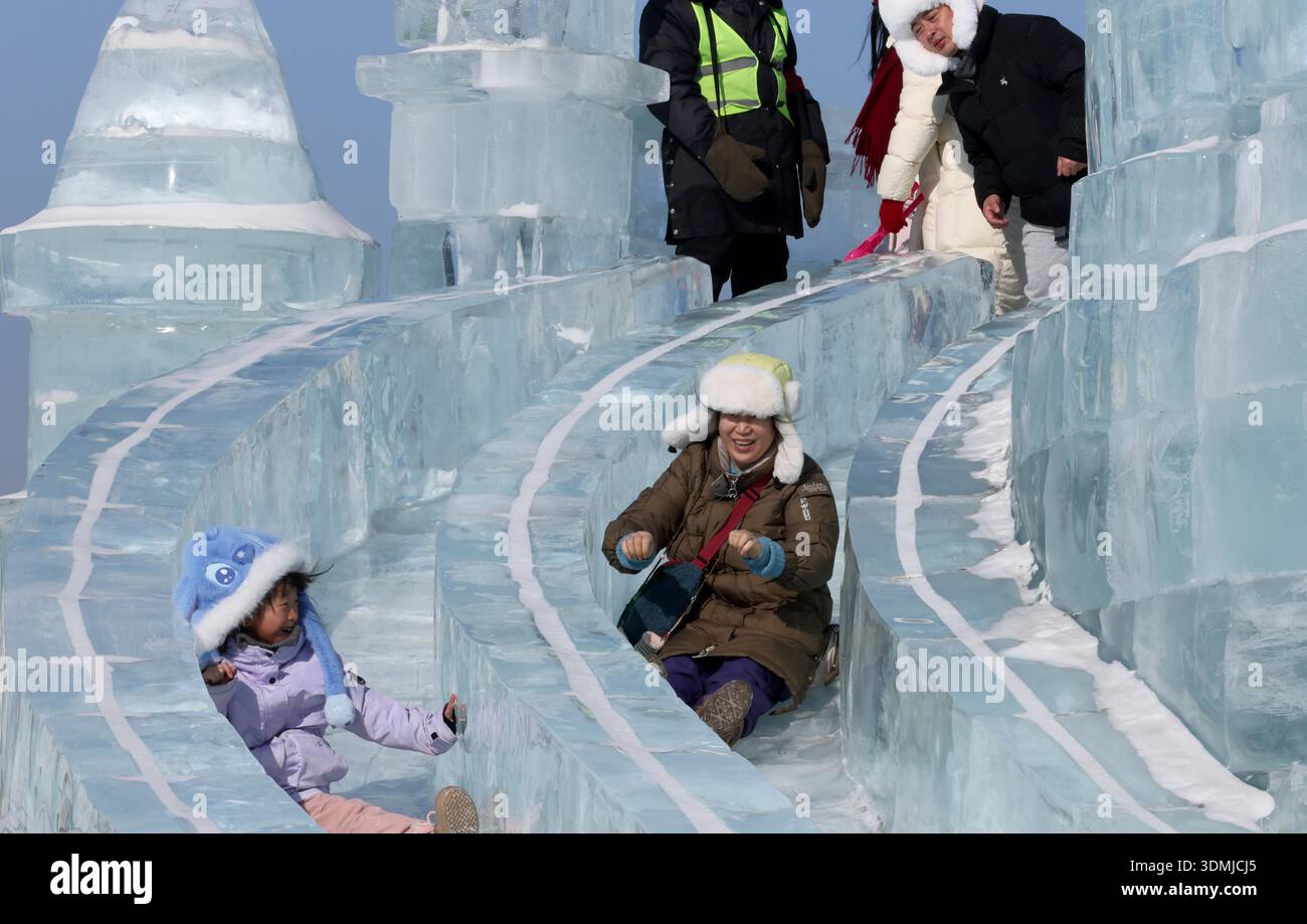 Visitors enjoy the 27th Harbin Ice and Snow World despite the cold ...