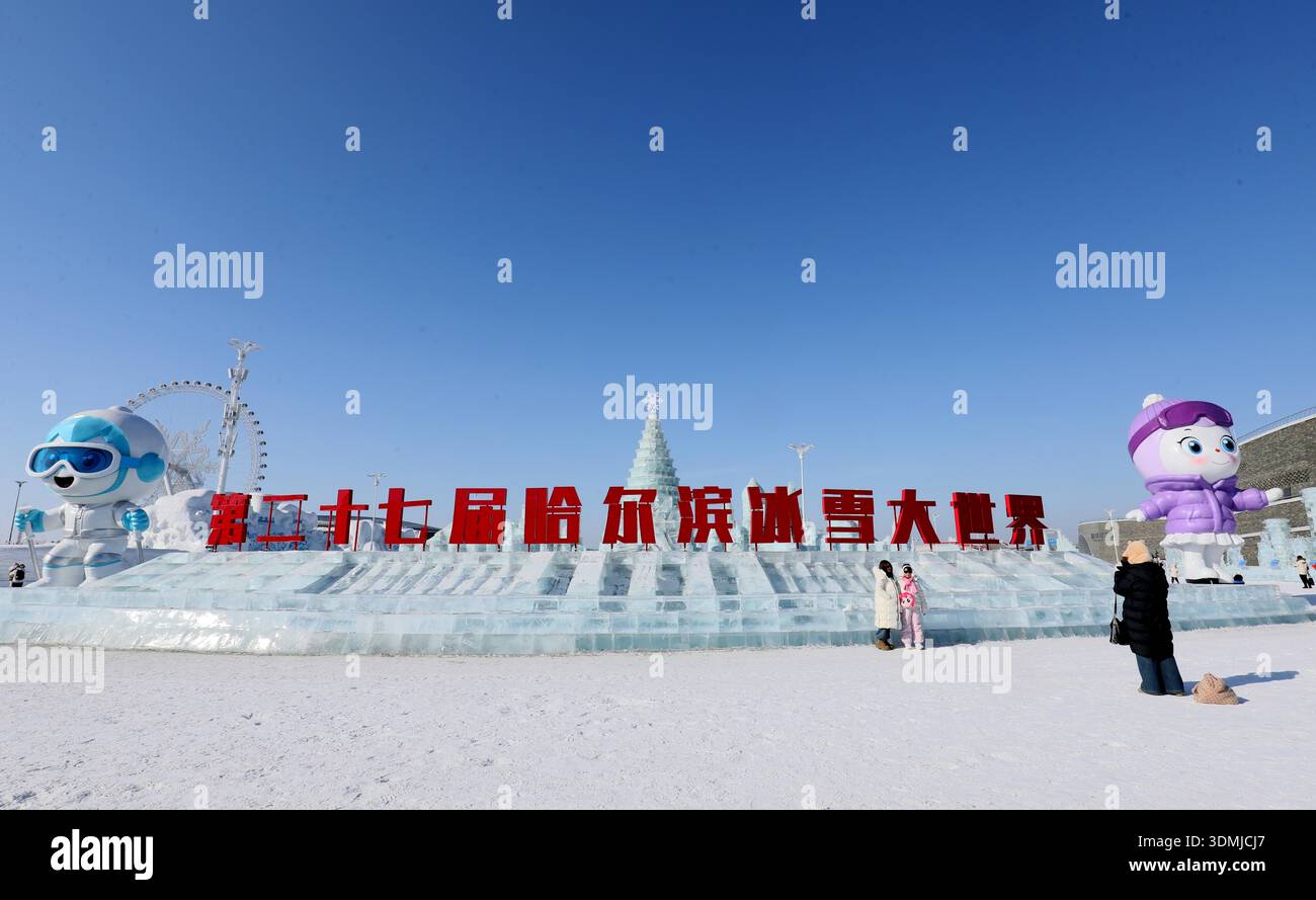 Visitors enjoy the 27th Harbin Ice and Snow World despite the cold ...