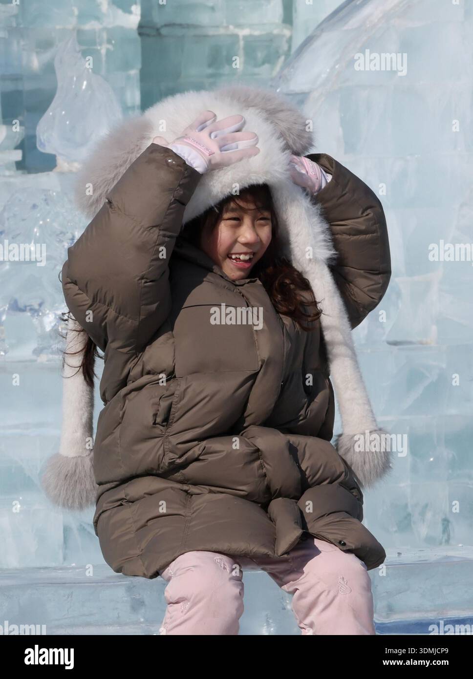 Visitors enjoy the 27th Harbin Ice and Snow World despite the cold ...