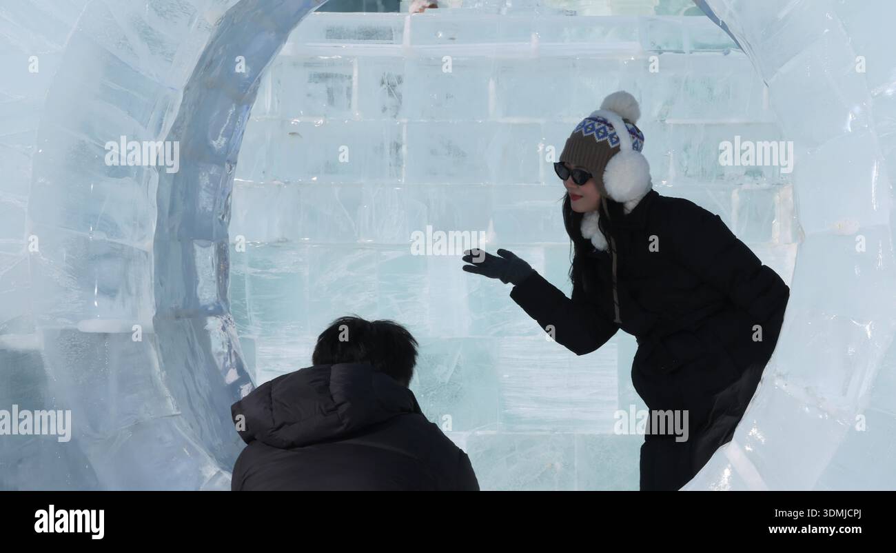 Visitors enjoy the 27th Harbin Ice and Snow World despite the cold ...