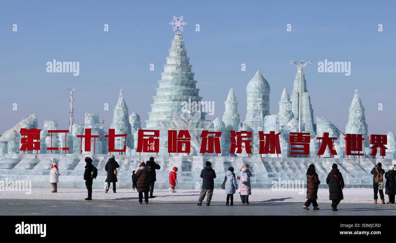 Visitors enjoy the 27th Harbin Ice and Snow World despite the cold ...