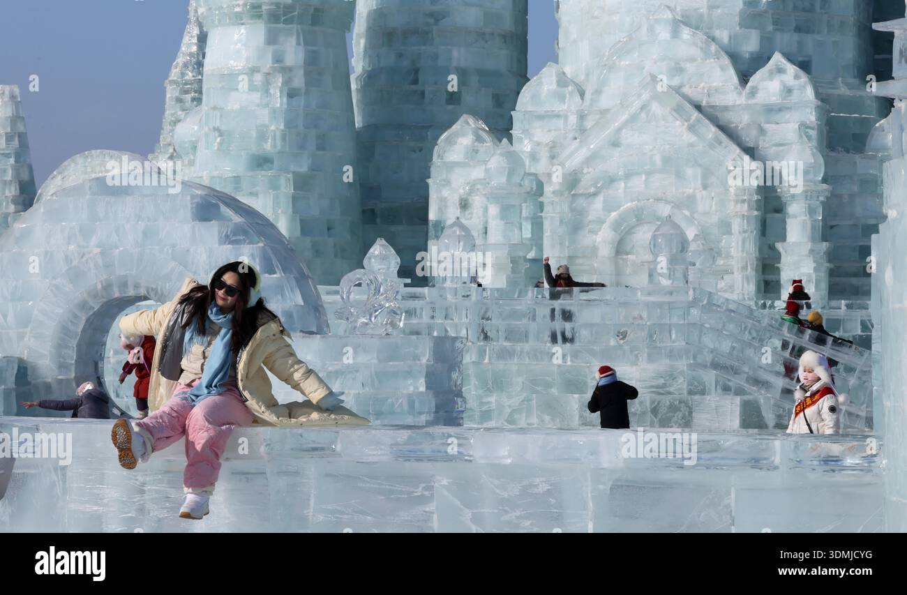 Visitors enjoy the 27th Harbin Ice and Snow World despite the cold ...