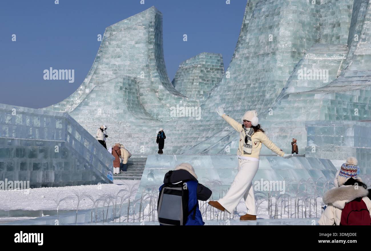 Visitors enjoy the 27th Harbin Ice and Snow World despite the cold ...