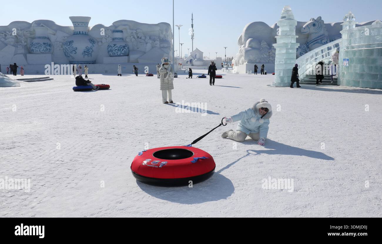 Visitors enjoy the 27th Harbin Ice and Snow World despite the cold ...