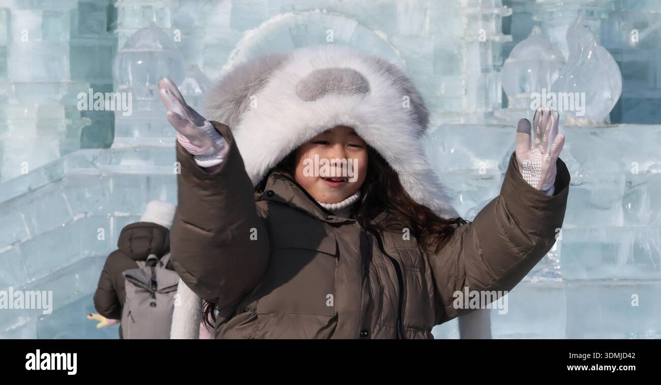 Visitors enjoy the 27th Harbin Ice and Snow World despite the cold ...