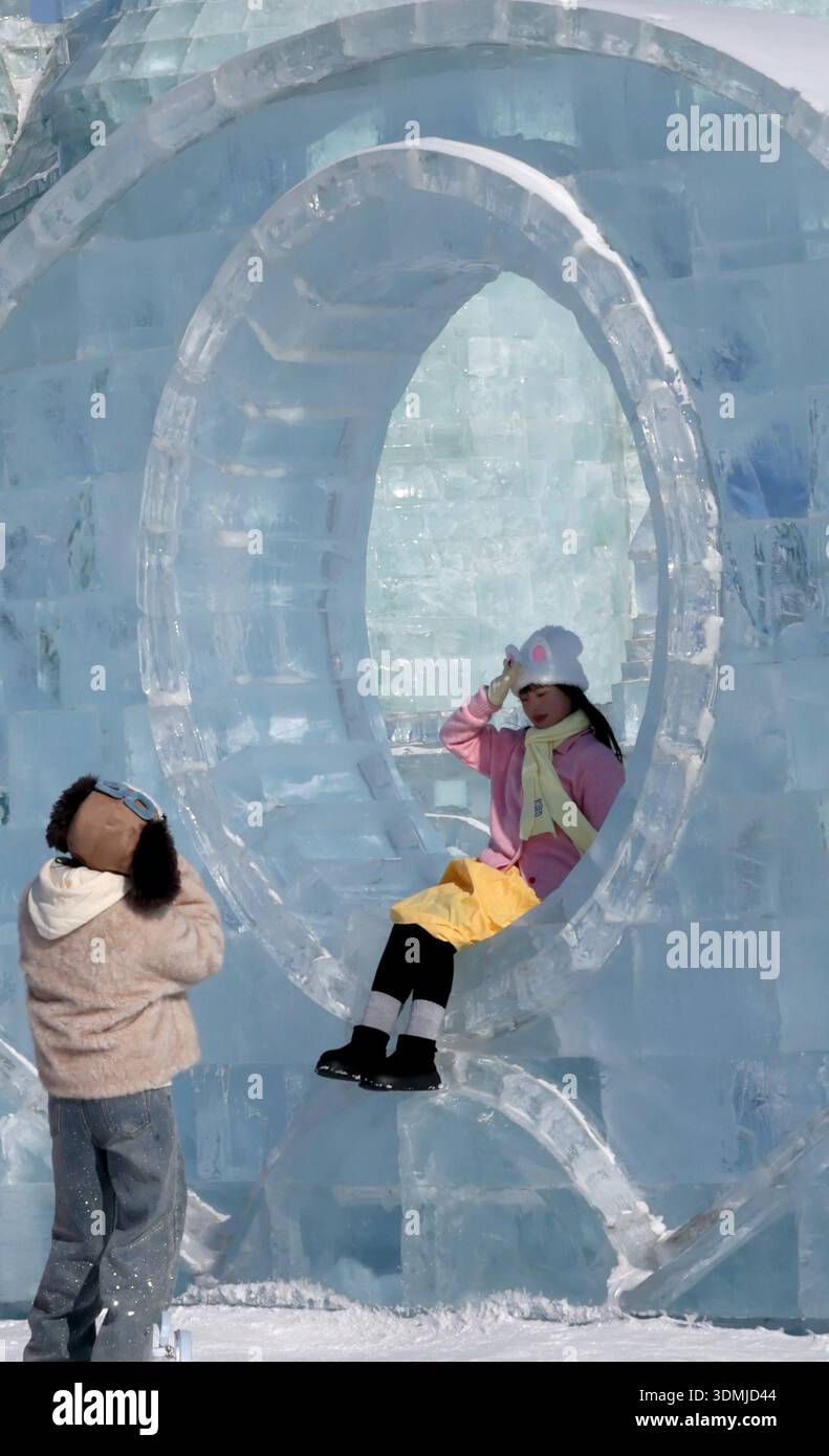 Visitors enjoy the 27th Harbin Ice and Snow World despite the cold ...