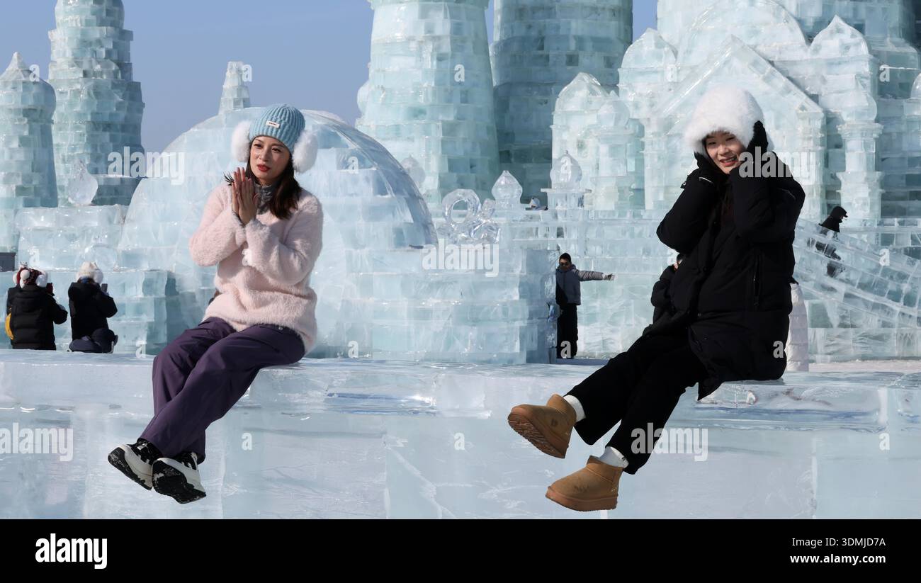 Visitors enjoy the 27th Harbin Ice and Snow World despite the cold ...