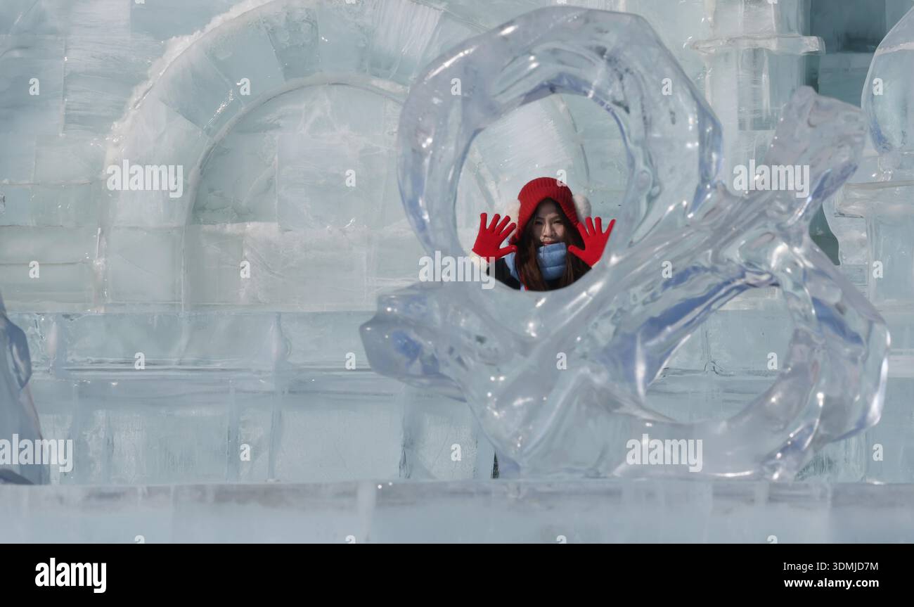 Visitors enjoy the 27th Harbin Ice and Snow World despite the cold ...