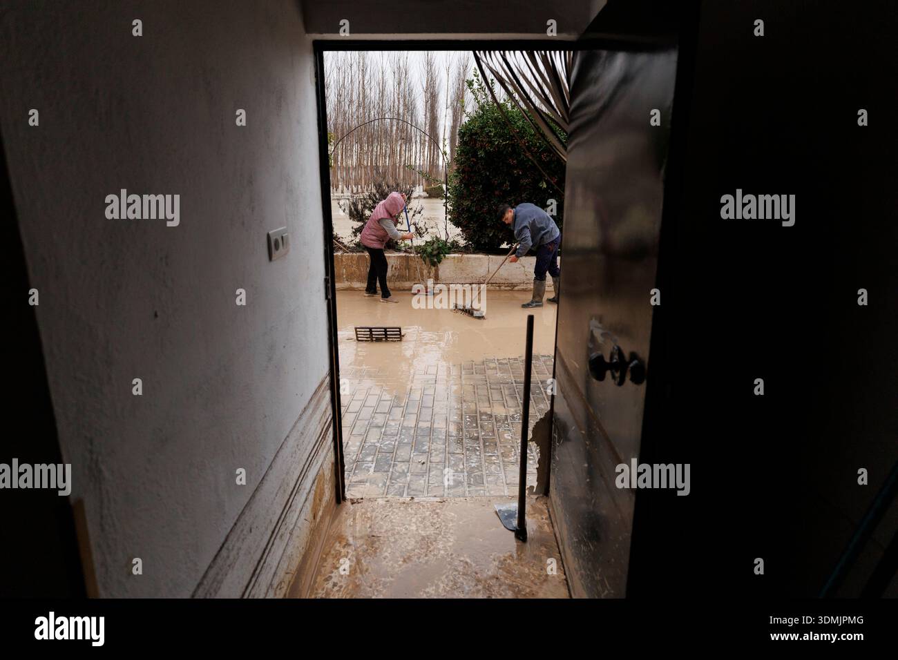 Residents of the municipality of Villanueva Mesía, Granada, are busy ...