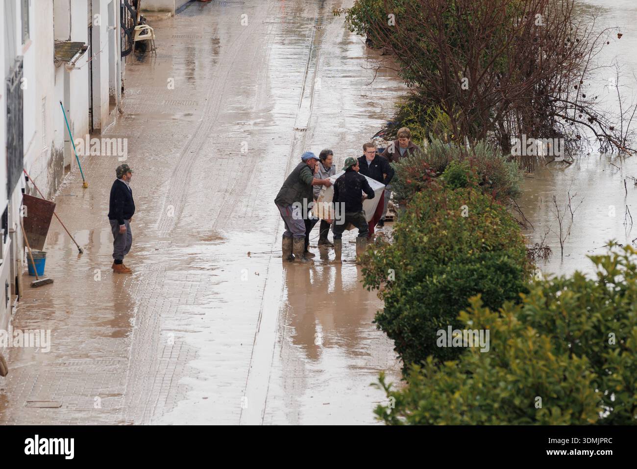 Residents of the municipality of Villanueva Mesía, Granada, are busy ...