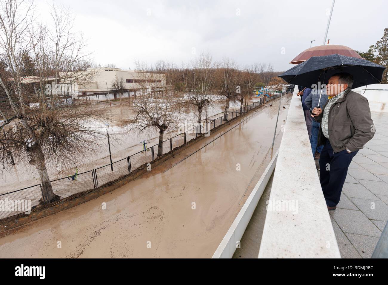 Streets in the municipality of Villanueva Mesía, Granada, flooded by ...