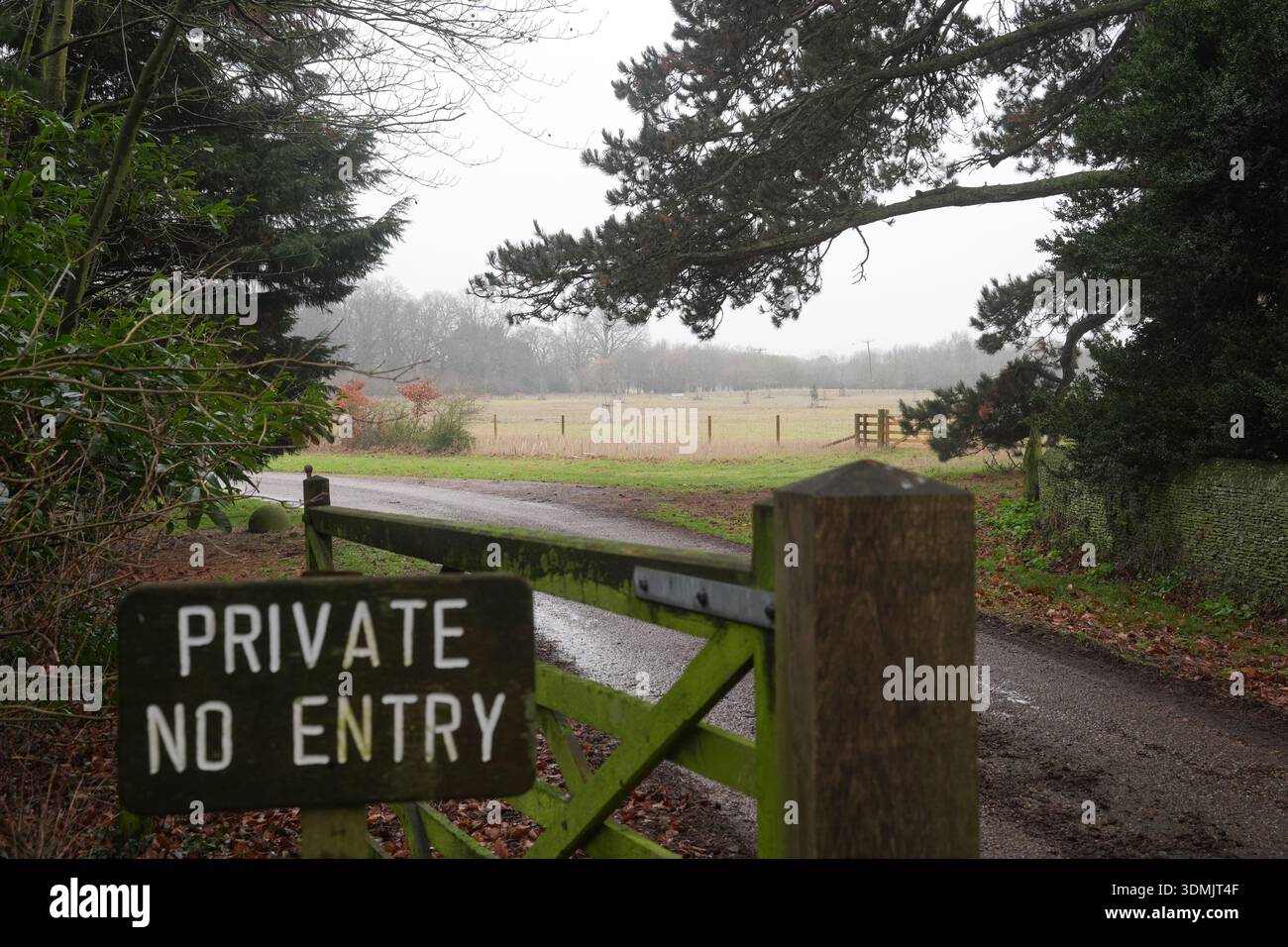 Marsh farm on sandringham hi-res stock photography and images - Alamy