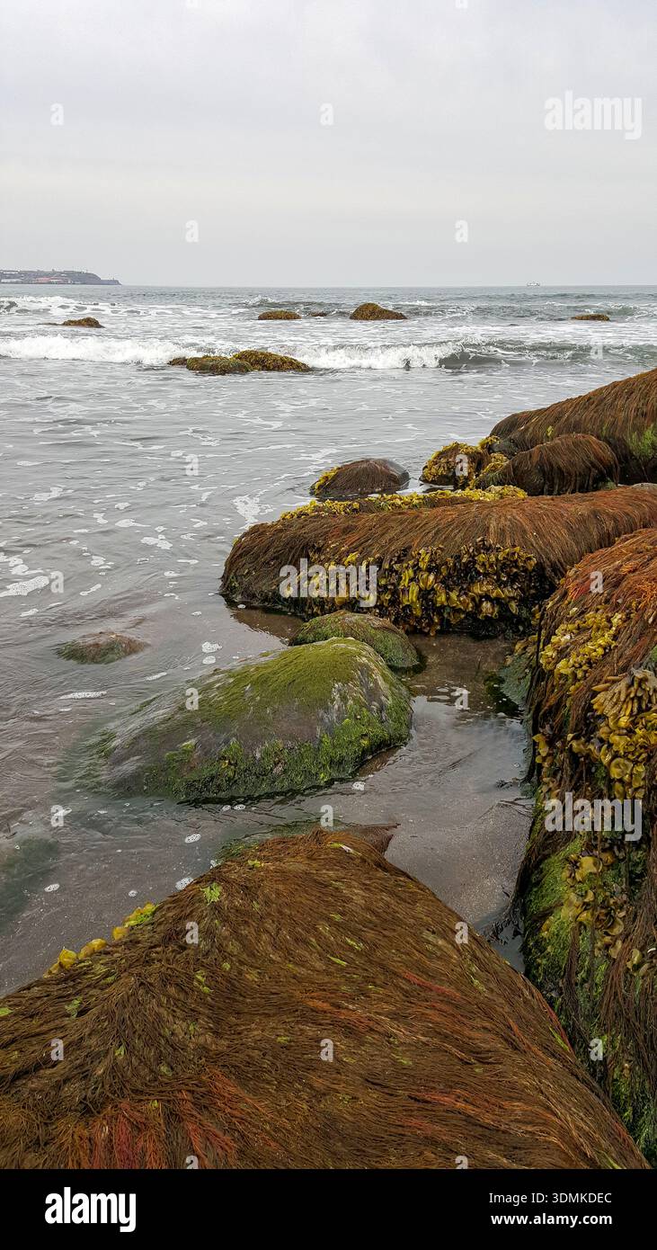 Sandy beach kuril islands hi-res stock photography and images - Alamy