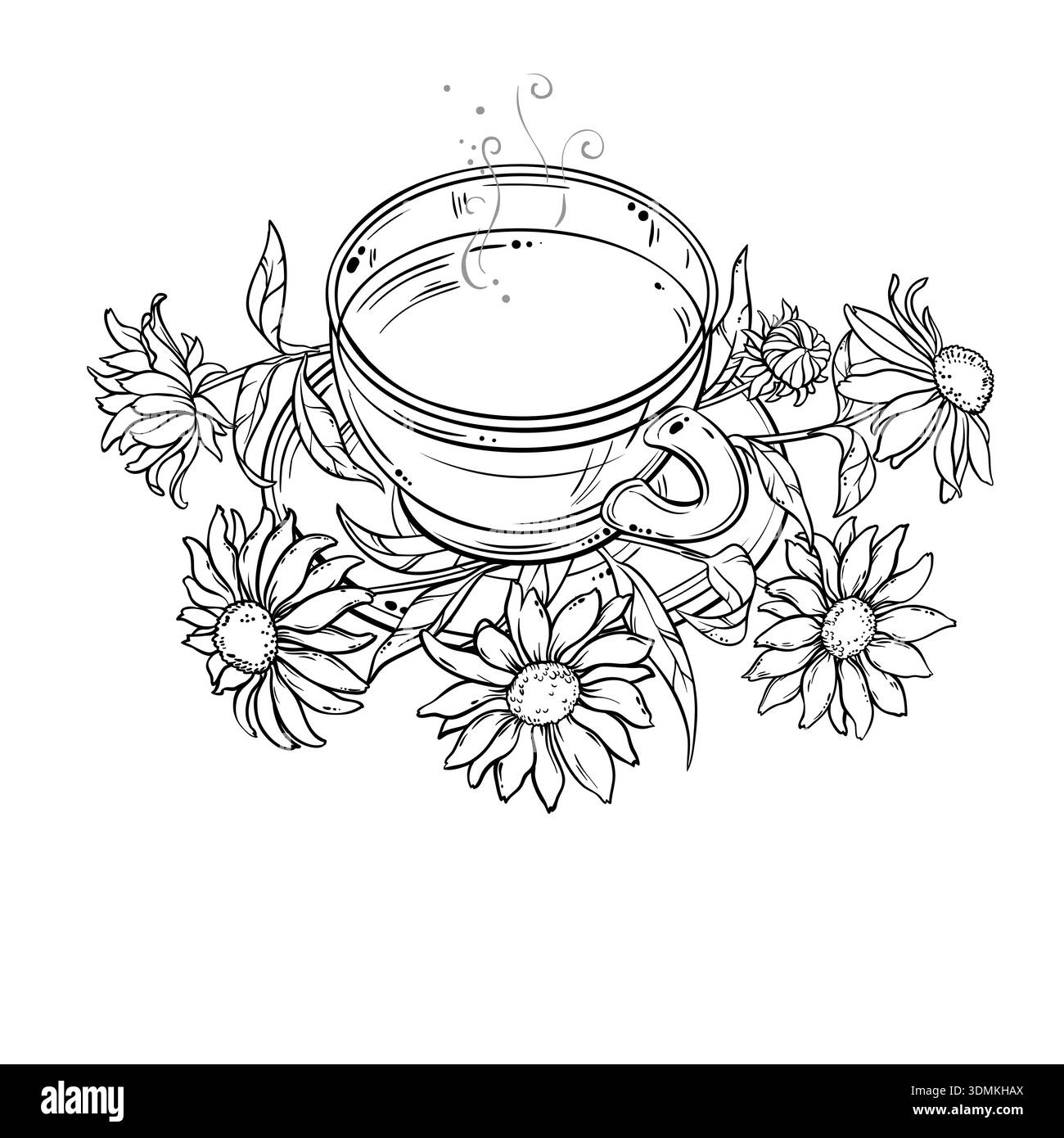 Cup of Echinacea Tea Outline Illustration Stock Vector Image & Art - Alamy