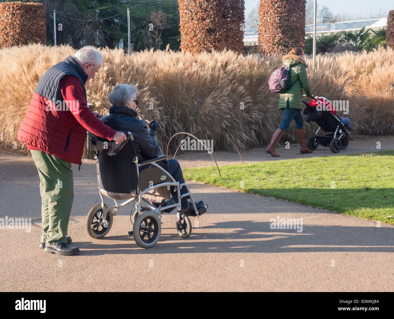 Wheelchair pushing gardens rhs wisley hi-res stock photography and ...