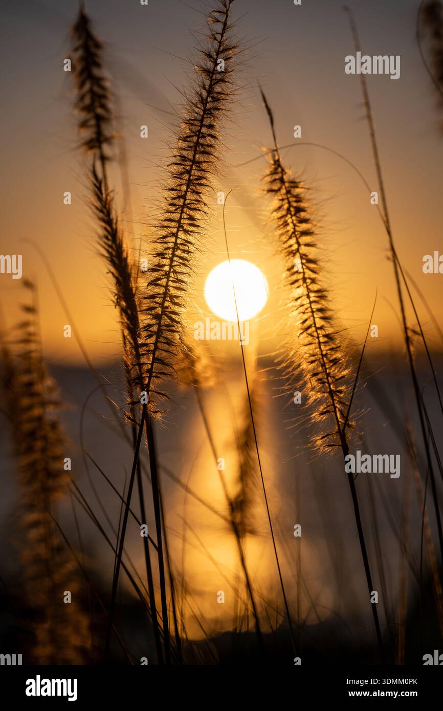 Gallows field across hi-res stock photography and images - Alamy