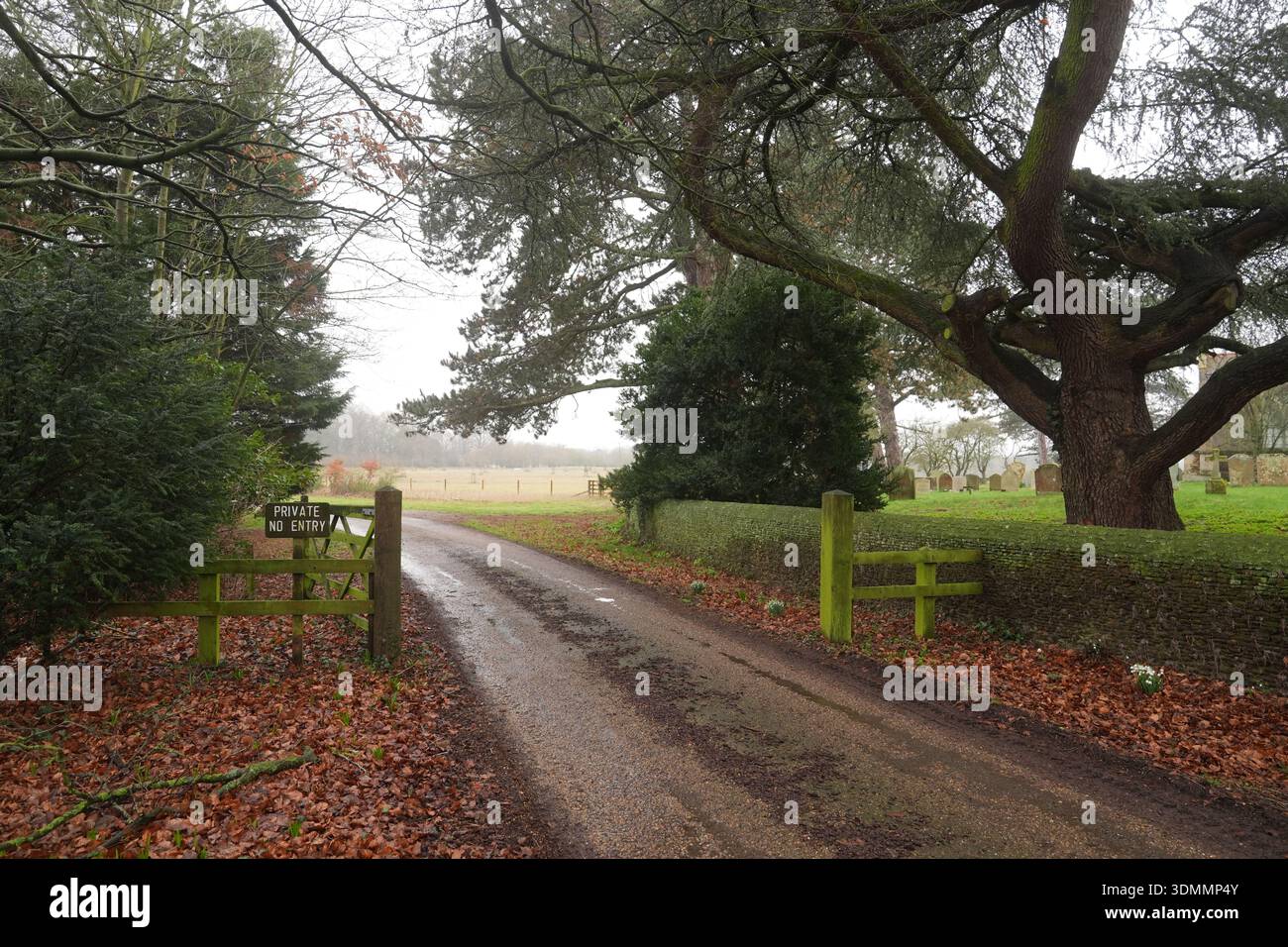 Wood farm sandringham estate hi-res stock photography and images - Alamy