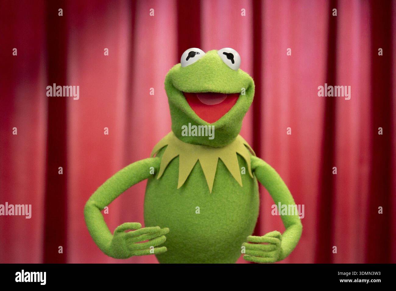 Family kermit hi-res stock photography and images - Alamy