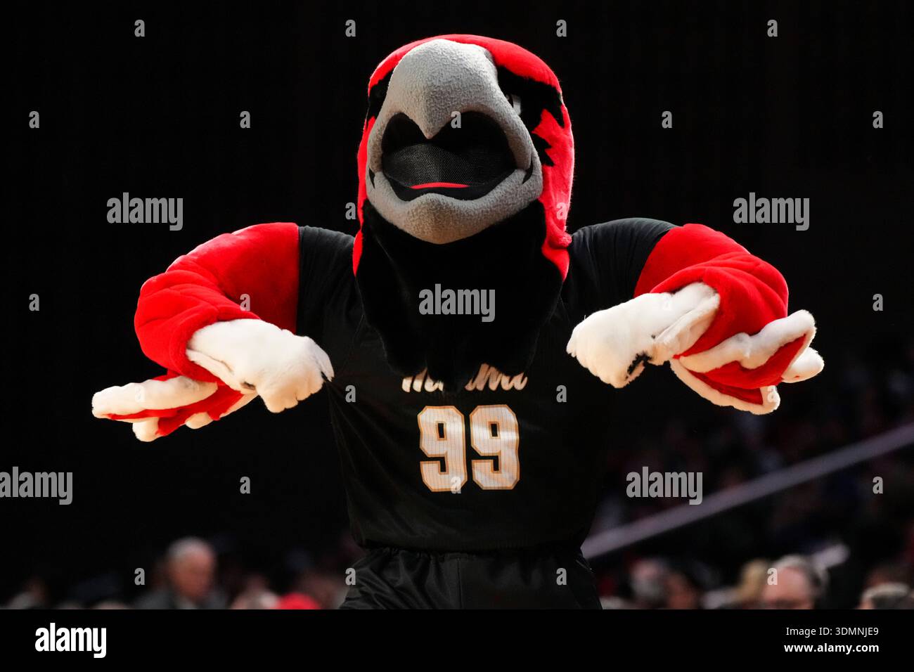 Miami (OH) mascot gestures during an NCAA college basketball game ...