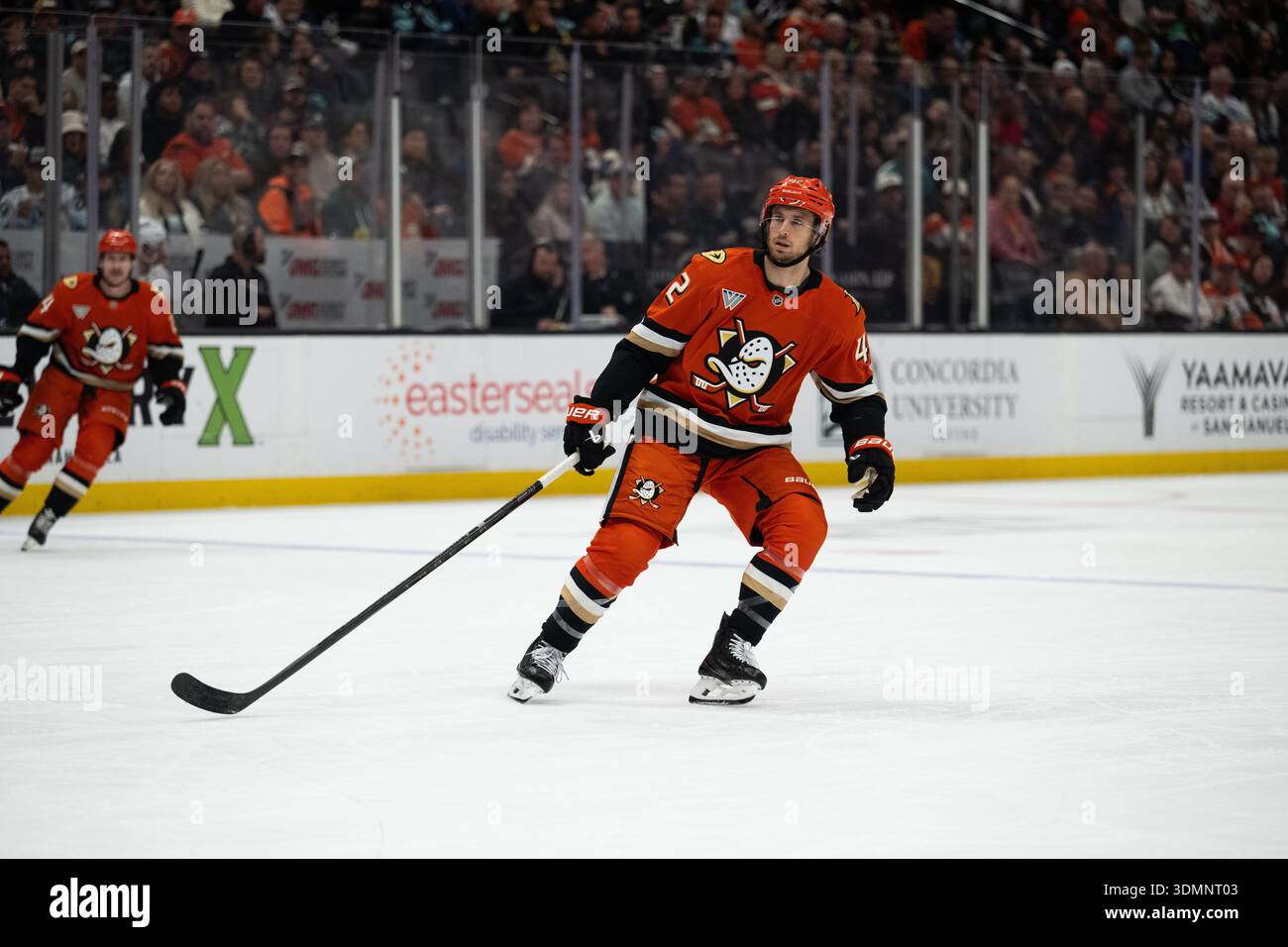 Anaheim Ducks center Tim Washe (42) stakes during an NHL hockey game ...