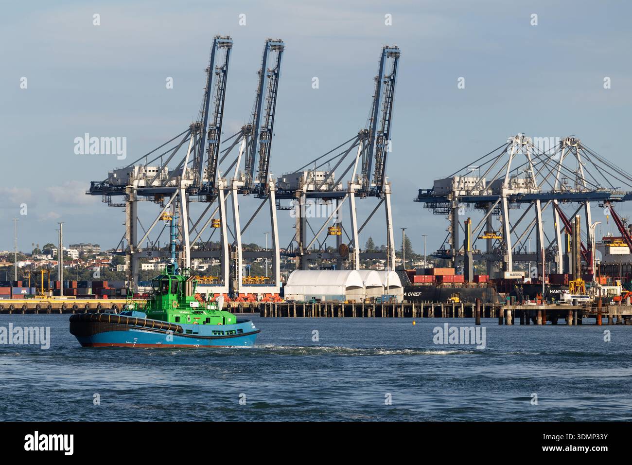 Tugboat operating in Auckland Harbour with container cranes and port ...